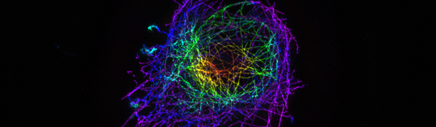 GIIF – Gurdon Institute Imaging Facility Website