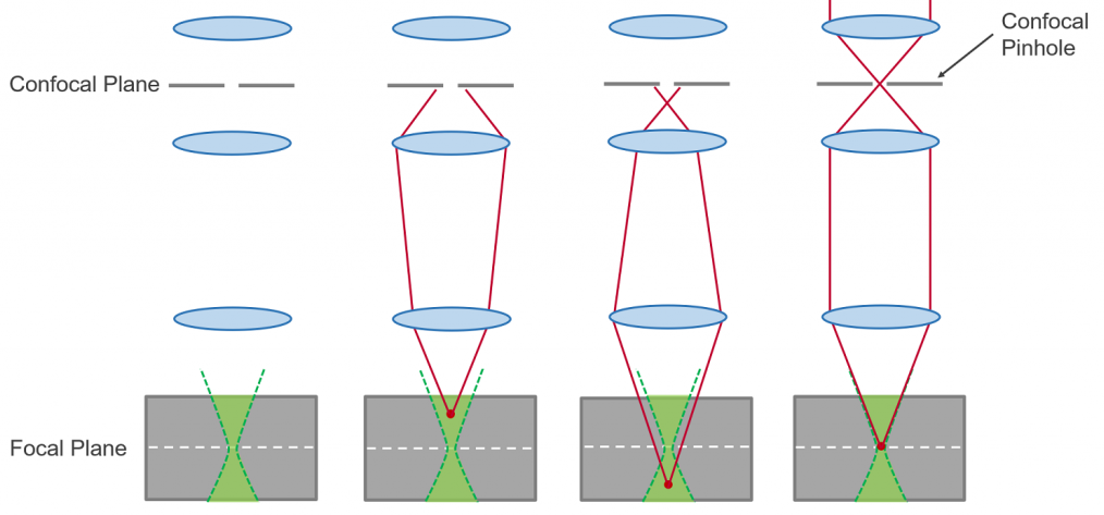 Leica SP8 WL inverted confocal – GIIF